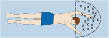 Overhead View of Front Quadrant Swimming: Hands Pass Each Other At the ...